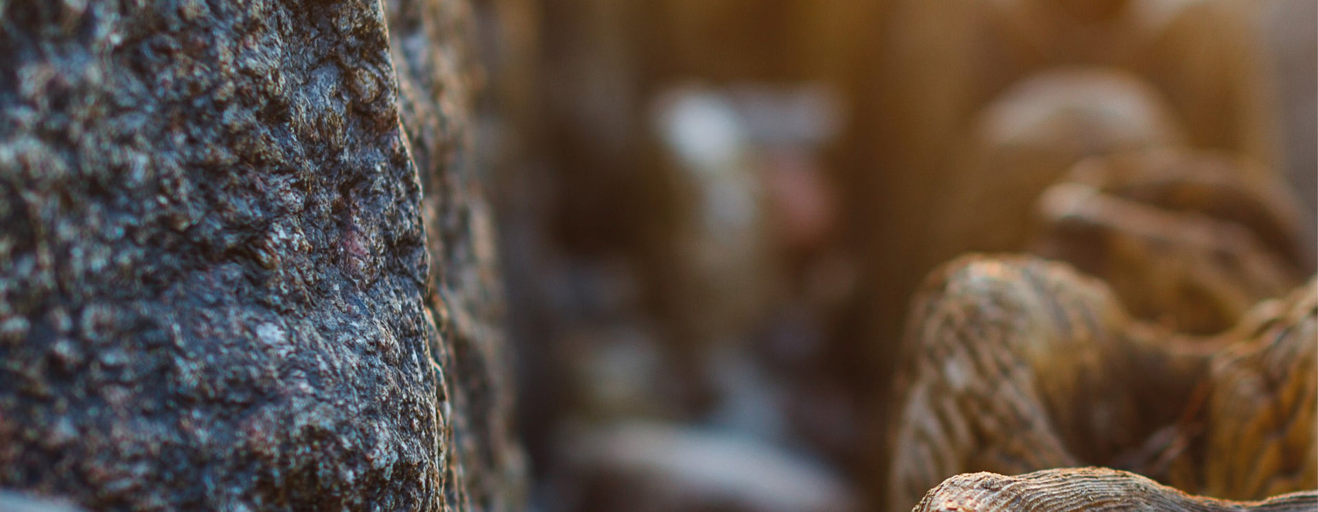 Lunettes de soleil Polyvalentes | Loubsol Vapor Taupe